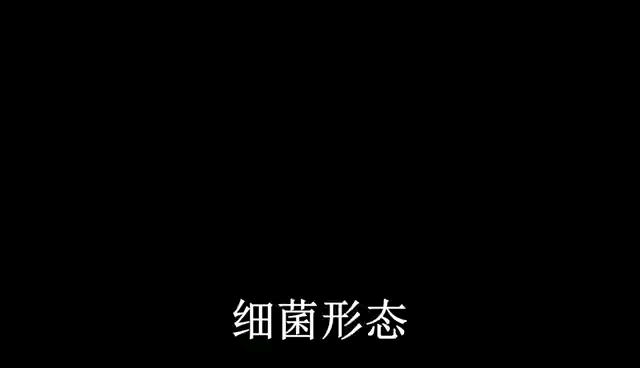 电子显微镜下的细菌形态