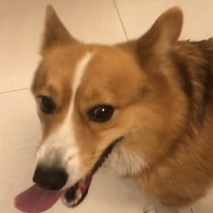 情非得已的高中牲 