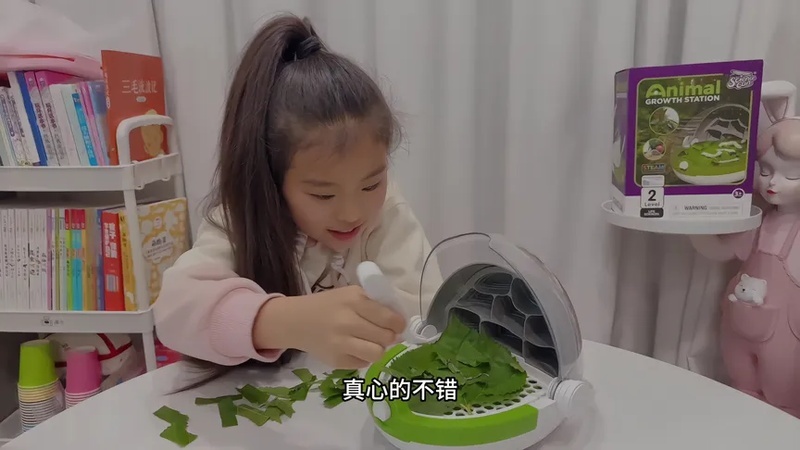 蚕宝宝吧!感受生命成长的神奇