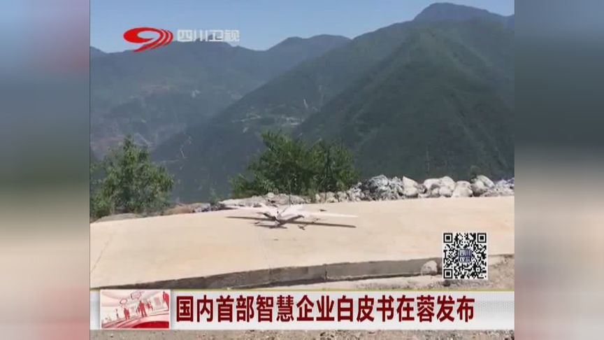 国内首部智慧企业白皮书在蓉发布