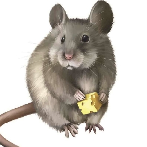 人形硕鼠 