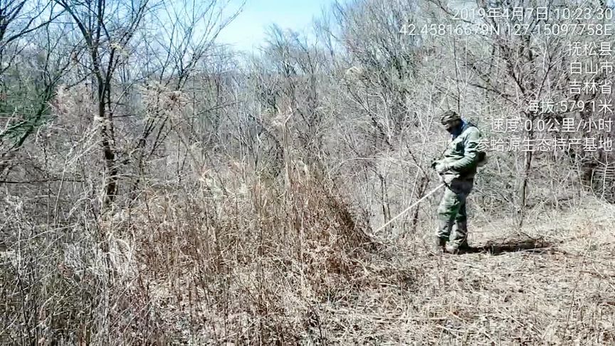 面对荒芜,我来了——植树造林,加油!