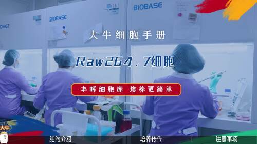 丰晖生物细胞库培养册——RAW细胞培养鼠单核巨噬细胞白血病细胞...