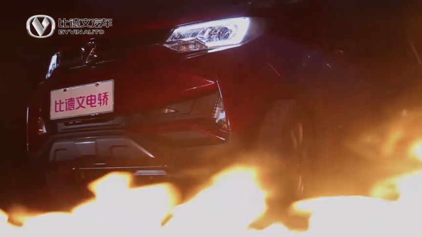 比德文电动汽车68亿的上榜品牌