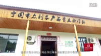 安徽美丽乡镇宣传片logo