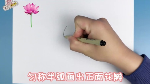 怎么画荷花,绘画荷花简笔画,画一朵漂亮的荷花