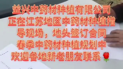 春耕大生产有你有我,我们携手同行!助力乡村振兴,美好发展,中药材种植...