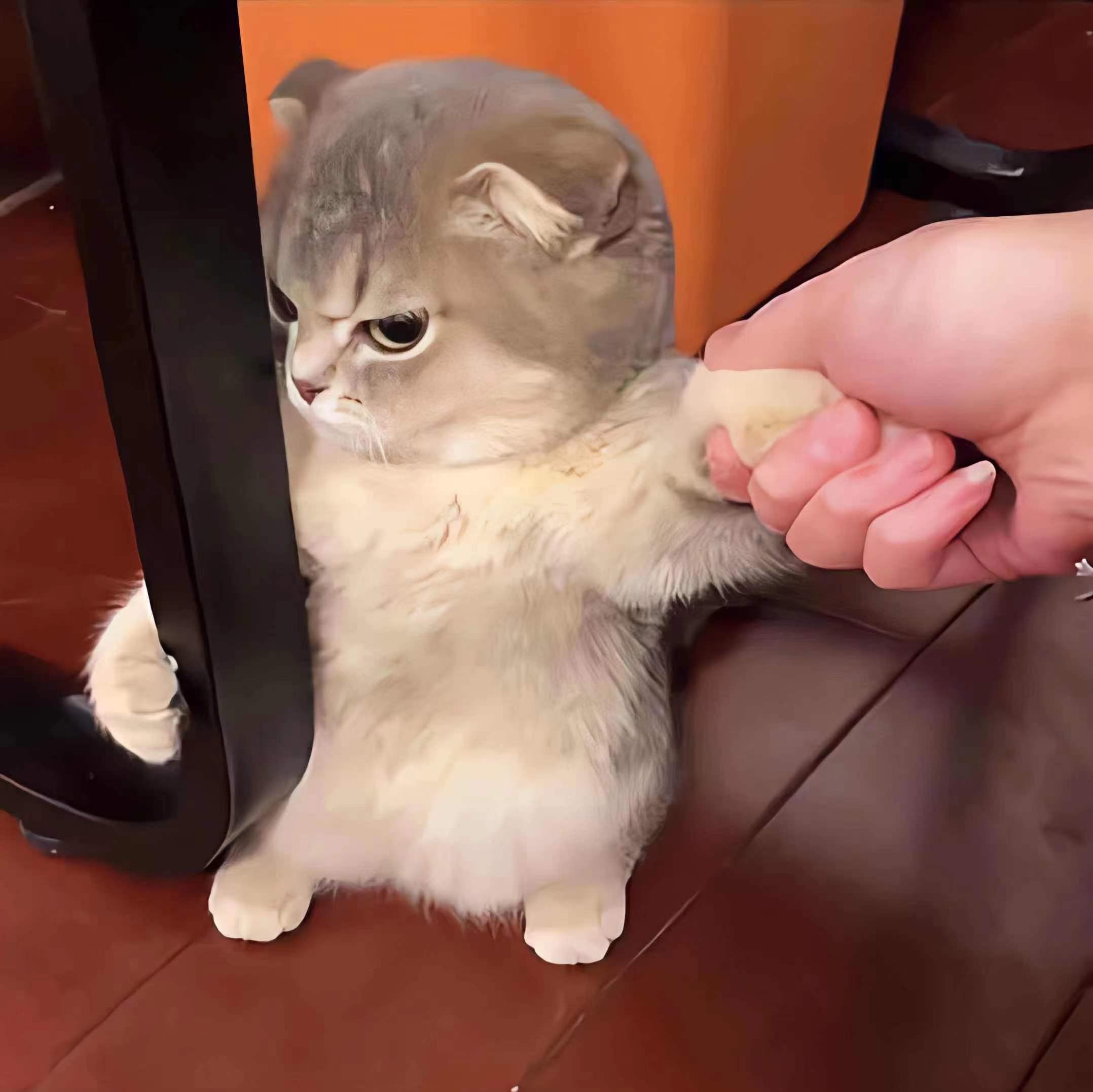 财经风向标 