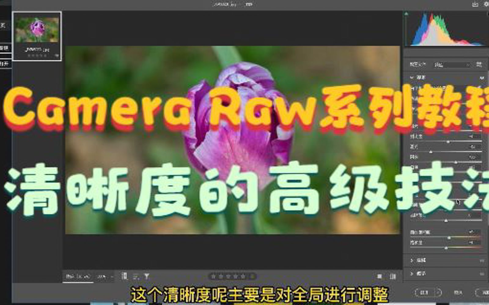 Camera Raw系列教程,清晰度的高级技法,实战使用清晰度调整画面