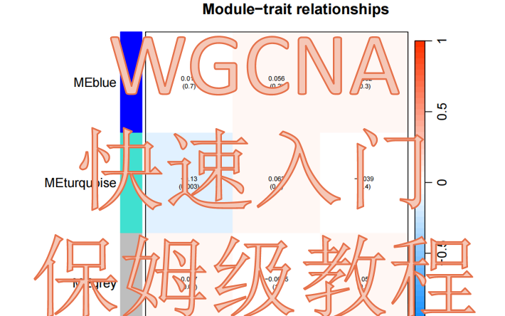 37. WGCNA快速入门,R语言保姆级教程