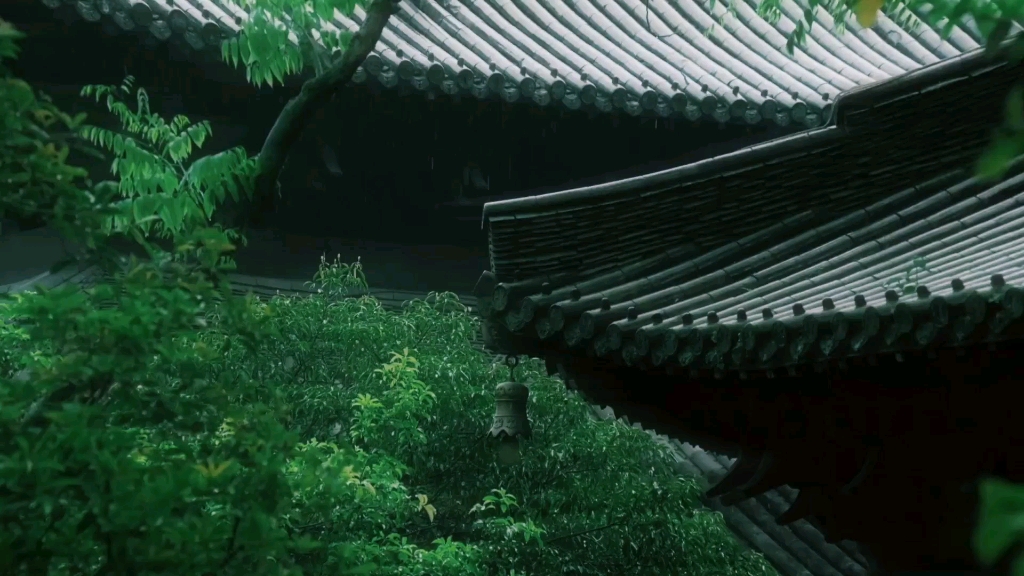 每日阅读_《诗经•樛木》