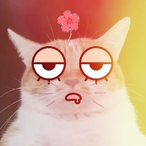 刚睡醒的狐狸 