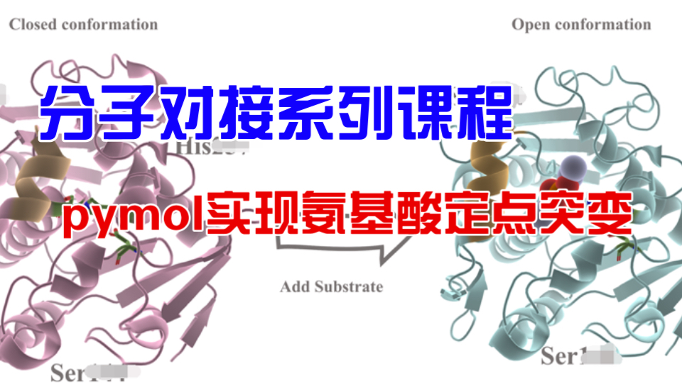 分子对接系列课程 4: pymol实现氨基酸定点突变