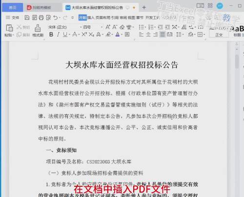 WPS Word:在文档中插入PDF文件