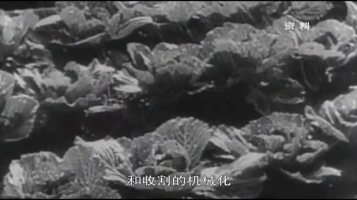 《世界历史》第八十集,苏联社会主义工业化和农业集体化(三)