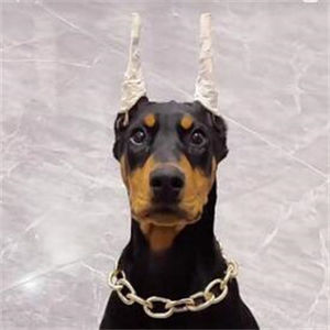 克烈不做搞笑女