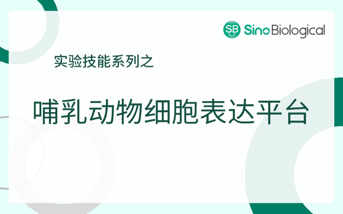 实验技能|哺乳动物细胞平台