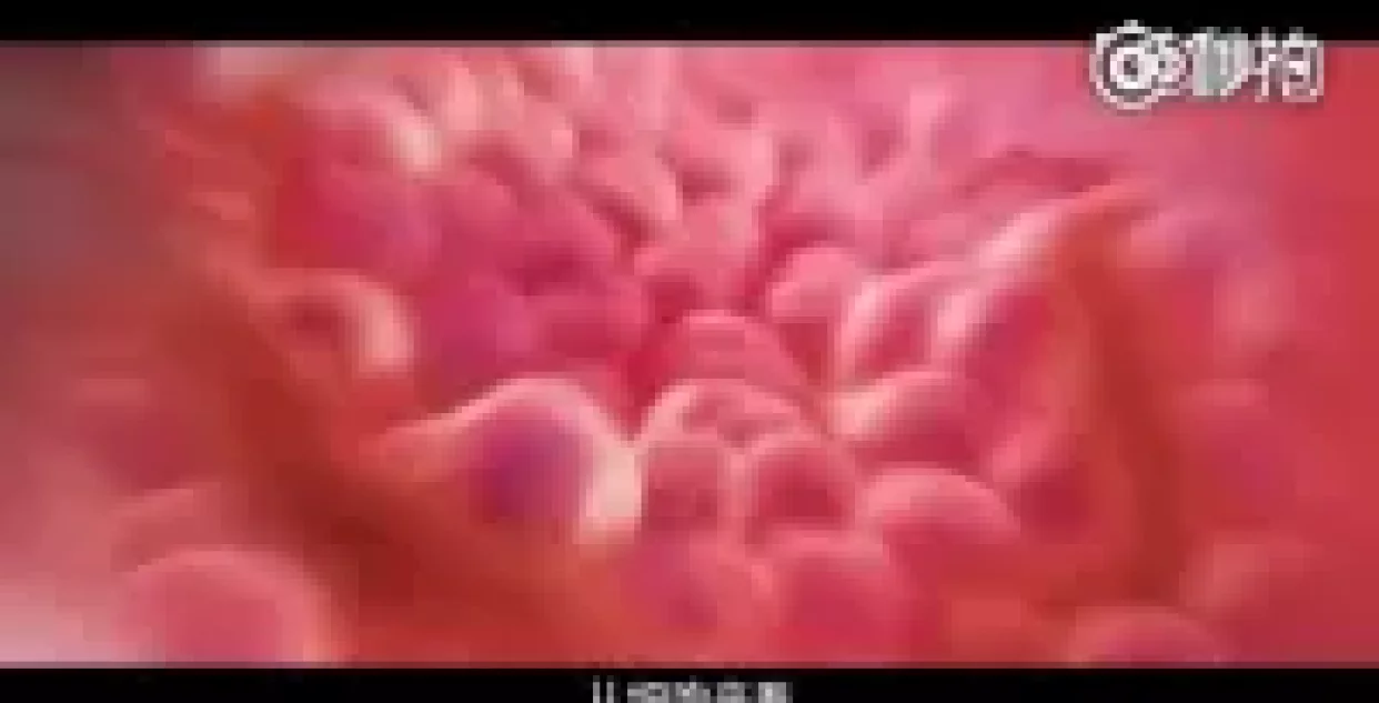 细菌无处不在
