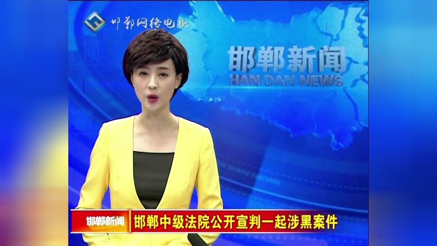 邯郸中级法院公开宣判一起涉黑案件