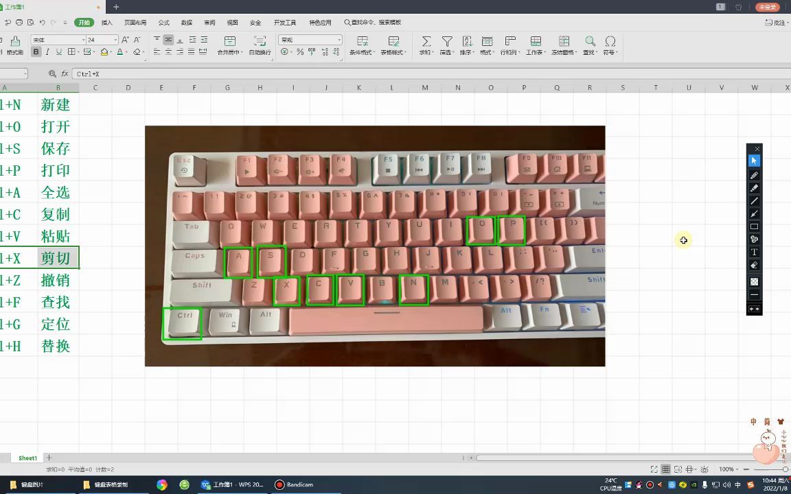 零基础学习WPS办公表格软件,适合零基础新手朋友在家学习