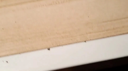 汉王友基xppen x3 pro gen2二代16k数位板开箱