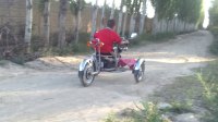 自制倒三轮电动车