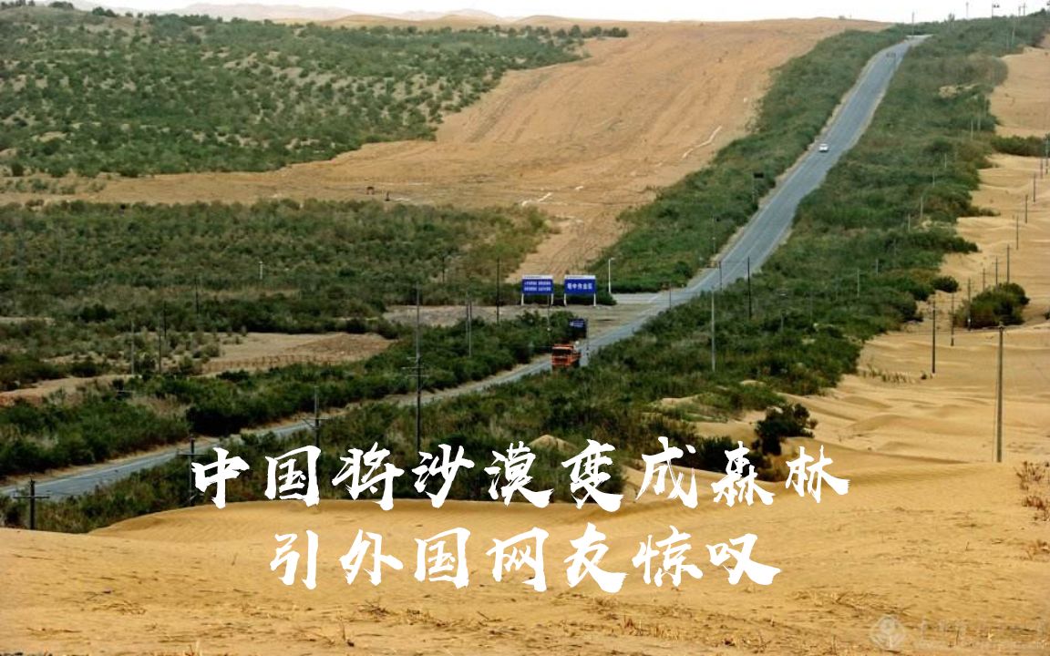 中国将沙漠变成森林,引外国网友惊叹