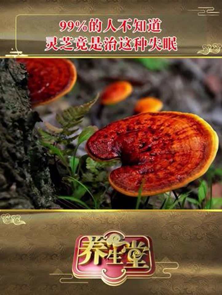 99%的人不知道,灵芝竟是治这种失眠!#科普一下 #灵芝