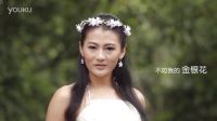 金银花颗粒--广州诺金制药 清热解毒 凉血消肿 用于风热感冒