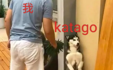(被)让五子,但是暴打katago