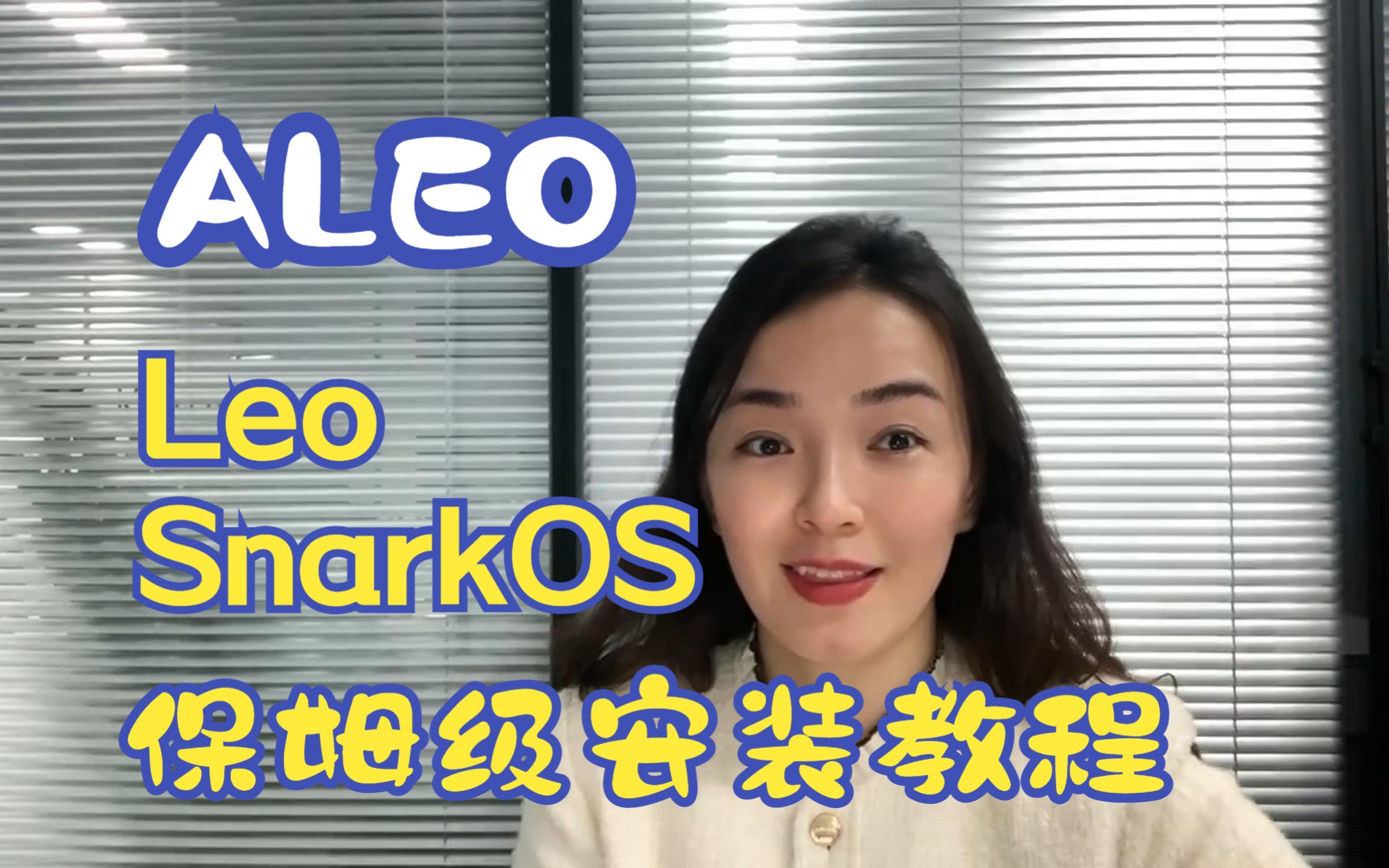 Aleo Leo and SnarkOS保姆级安装教程; The easiest Leo and snarkOS ...