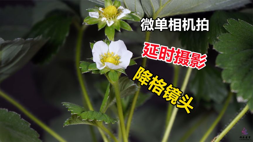 如何用微单相机拍延时摄影和降格镜头?怎么设置相关参数?