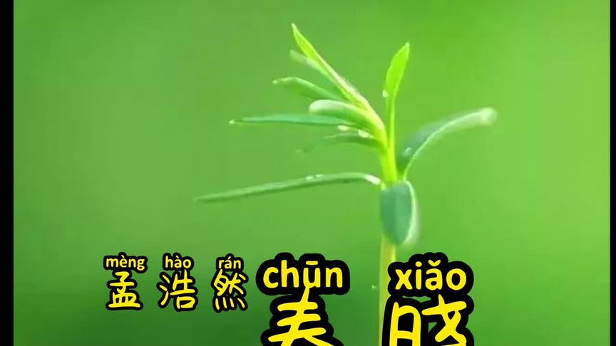 #传统文化 #国学 #古诗词 #智慧 童声古诗朗诵