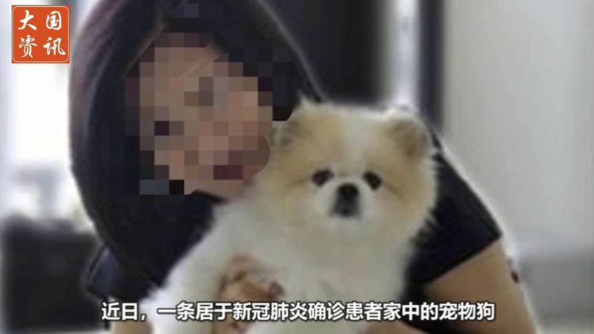 一条狗被确诊新冠肺炎,3次检测显示低程度感染,却无任何相关病