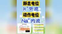高中生物记忆方法——静息电位动作电位