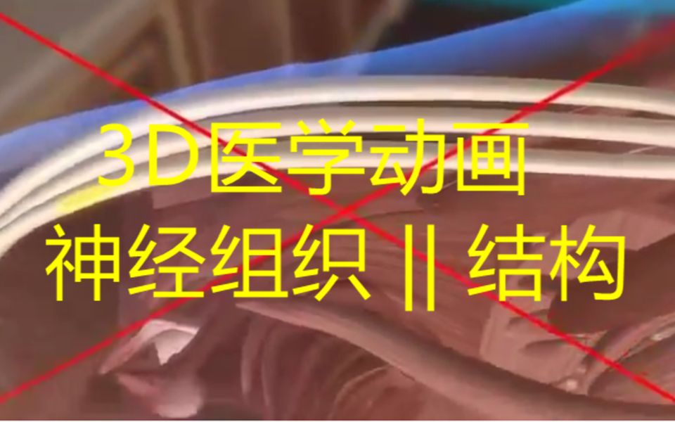 神经组织 || 结构 II 3D 动画视频 神经组织构成了我们神经系统的不同...