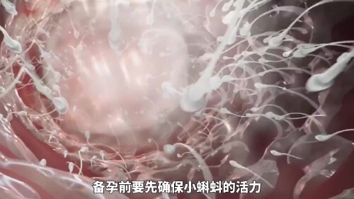 你知道怀孕要经历哪些过程吗?这个视频带你认识怀孕全部过程
