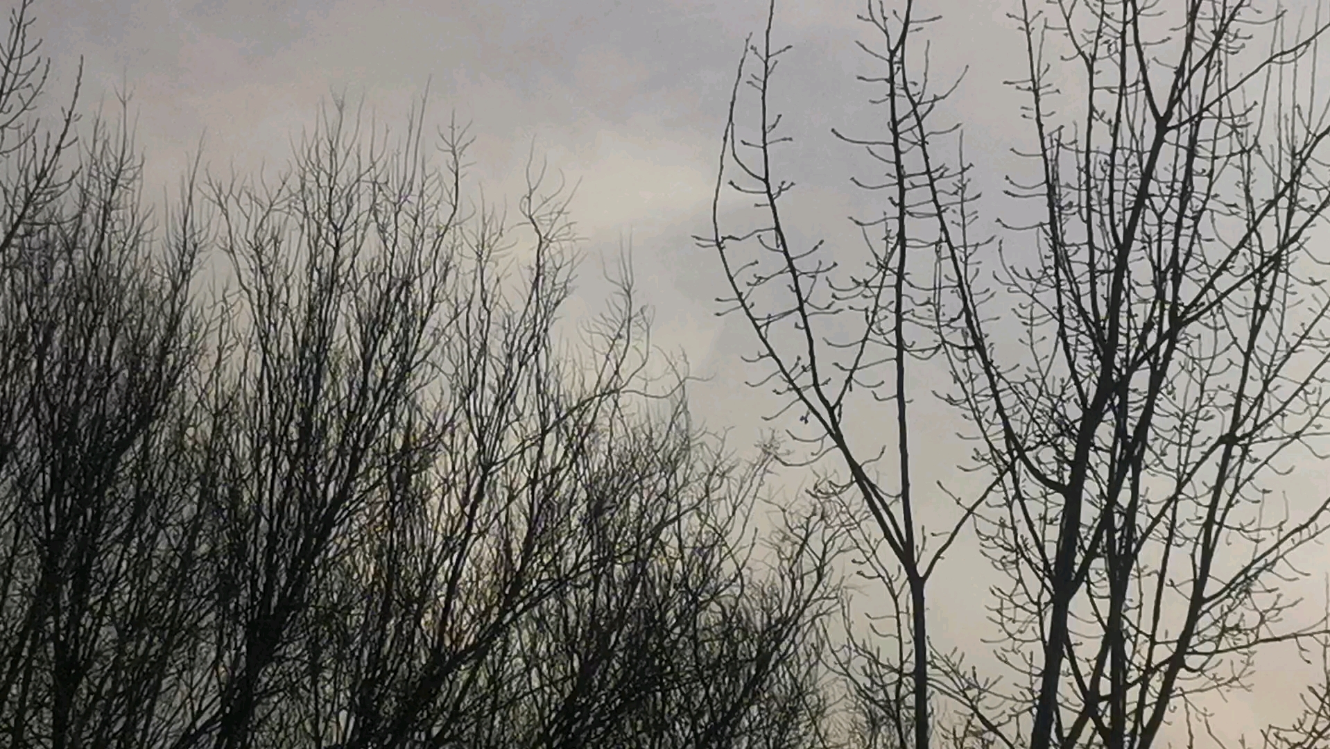 菲菲拍摄-年末日落2022