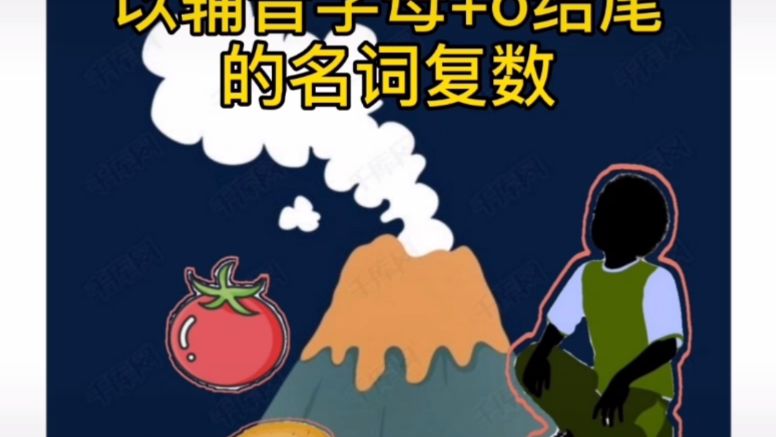 以辅音字母+o结尾的名词复数