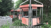 广东东莞: 东莞现在不抓暂住证了, 工业园到处招工你们回来吧!