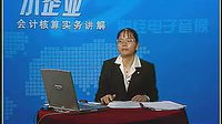 小企业会计核算实务讲解 (1)