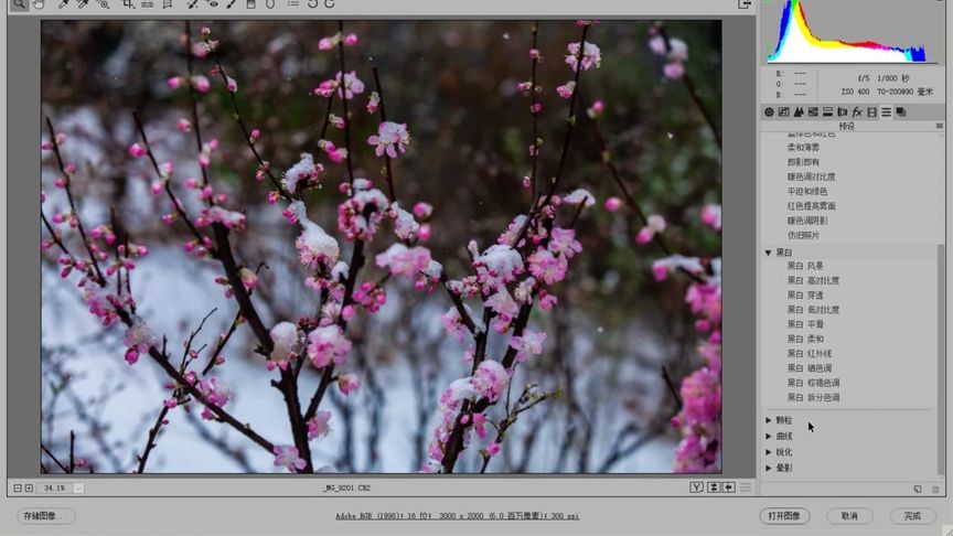 PHOTOSHOP CC 2018 之ACR新增功能演示