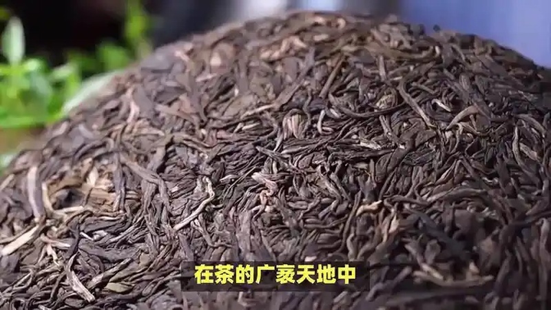 生普与熟普:普洱茶世界的双璧传奇