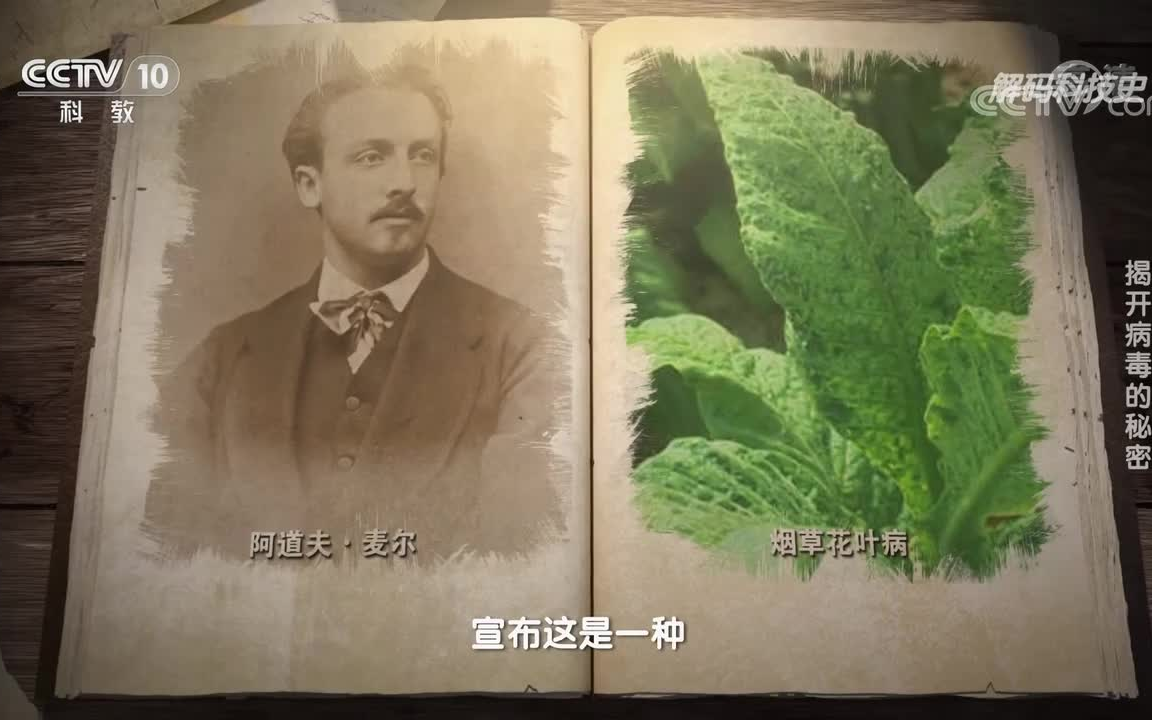 《解码科技史》 探索微观世界——揭开病毒的秘密