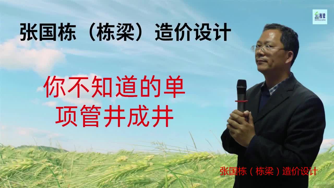 张国栋(栋梁)造价设计:你不知道的单项管井成井