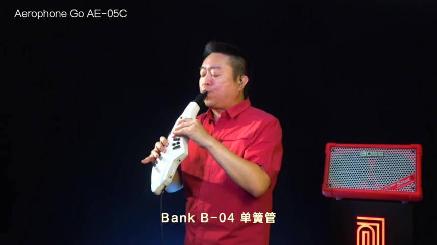 AE05C音色演示 B01-06