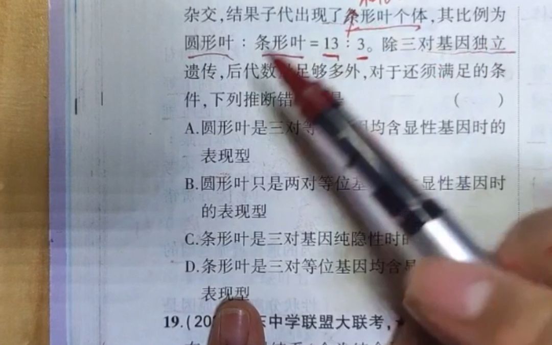 基因的自由组合定律刷题4