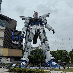 再睡一个回笼觉z 