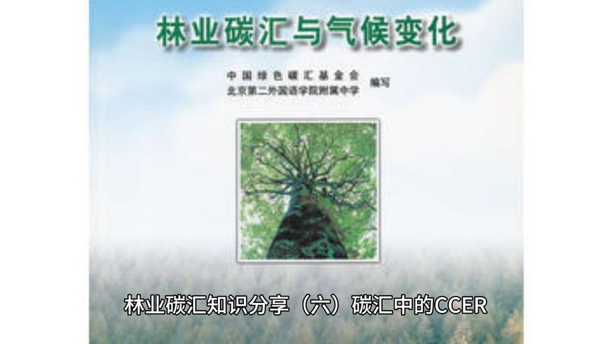 林业碳汇知识分享(六)CCER、VCS、GS各是什么?