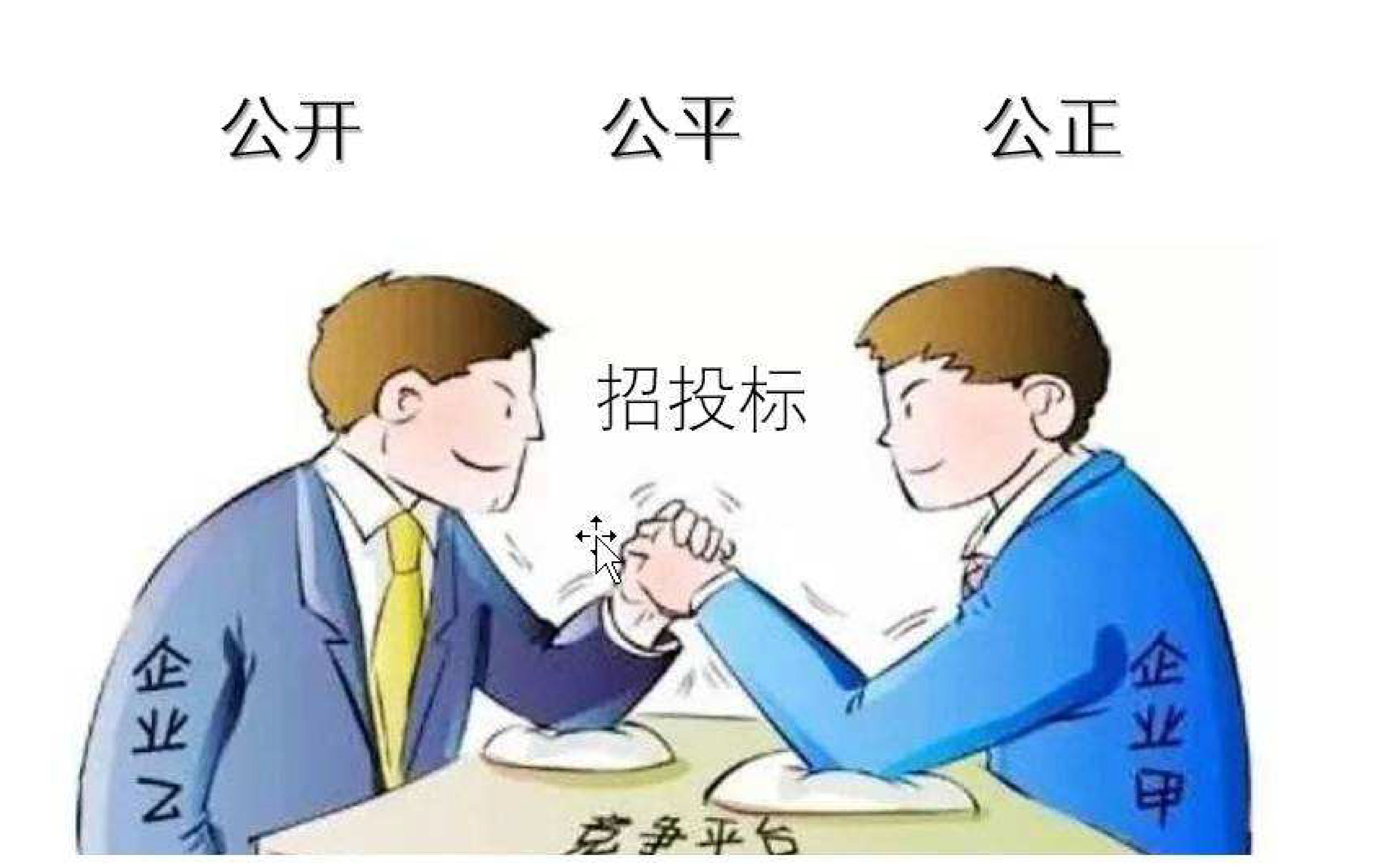 招标投标的流程